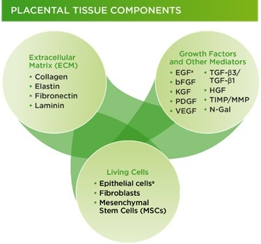 Grafix and Therapeutic Value of Placental Tissues: Please, Do Not Discard!