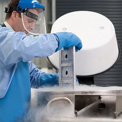 How Cord Blood Banks Protect their Storage Tanks