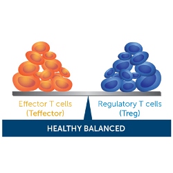 Regulatory T-cells from cord blood as ALS Therapy