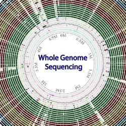Parent’s Guide to Whole Genome Sequencing